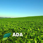 Ato Declaratório Ambiental ADA? - Adenilson Giovanini